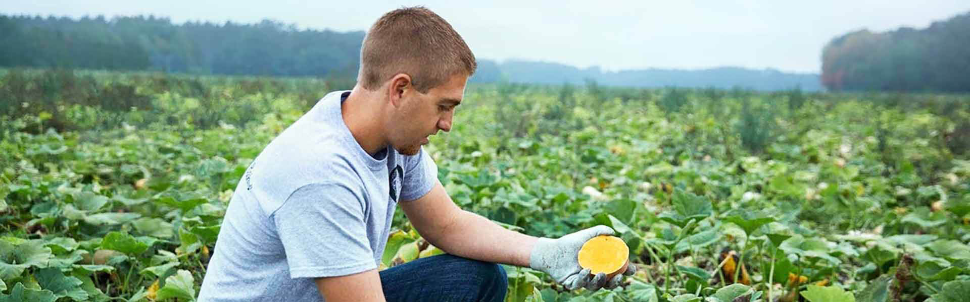 3 Nestlé brands taking action on sustainability | Nestlé